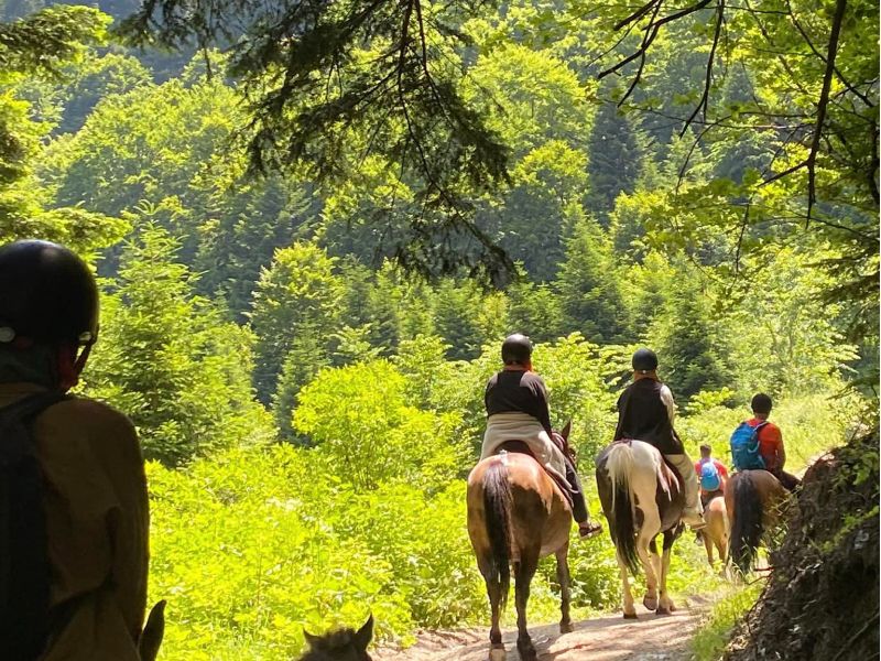 Experience the Best Horse Riding Adventures in Macedonia