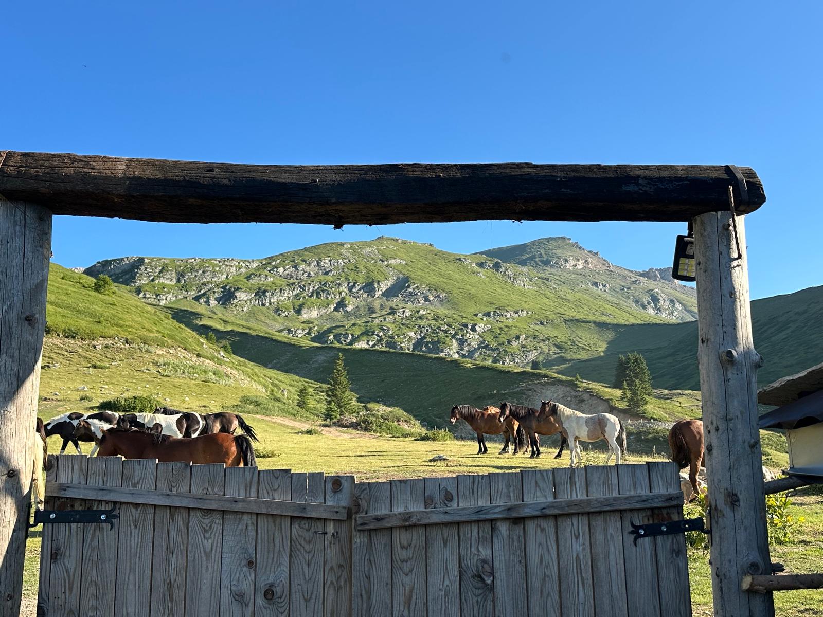 Experience the Best Horse Riding Adventures in Macedonia