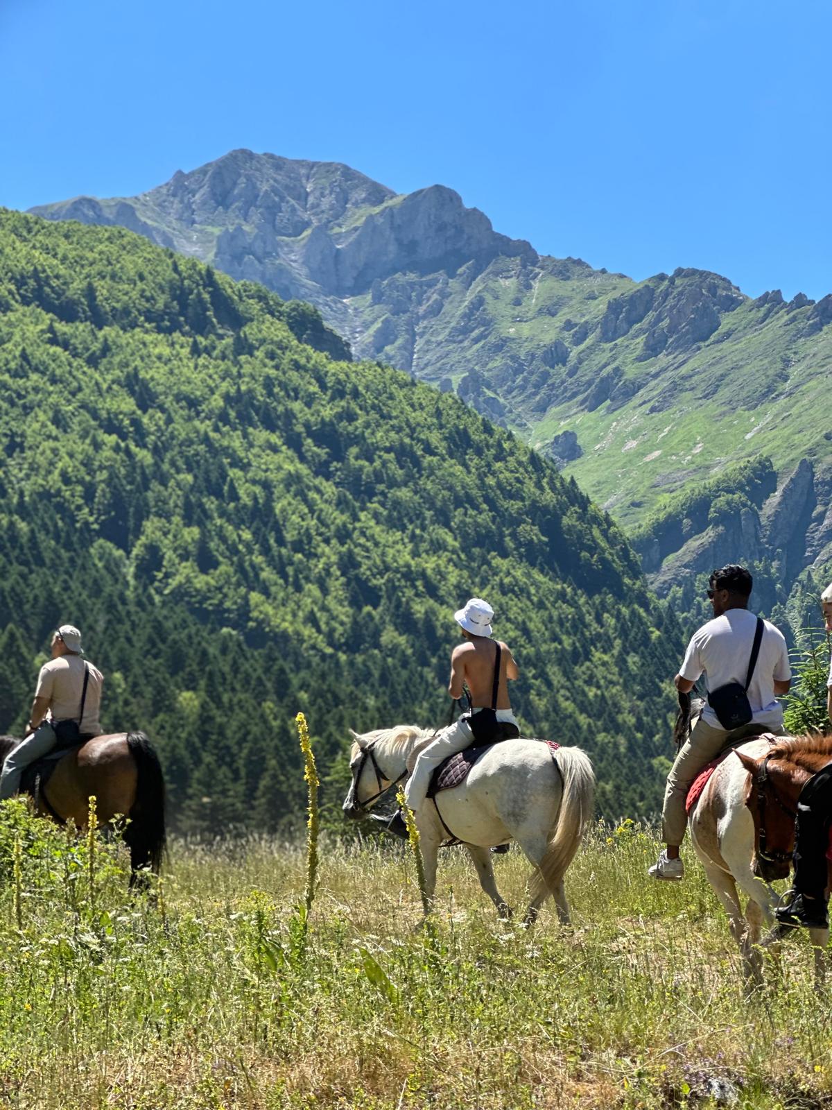 Experience the Best Horse Riding Adventures in Macedonia