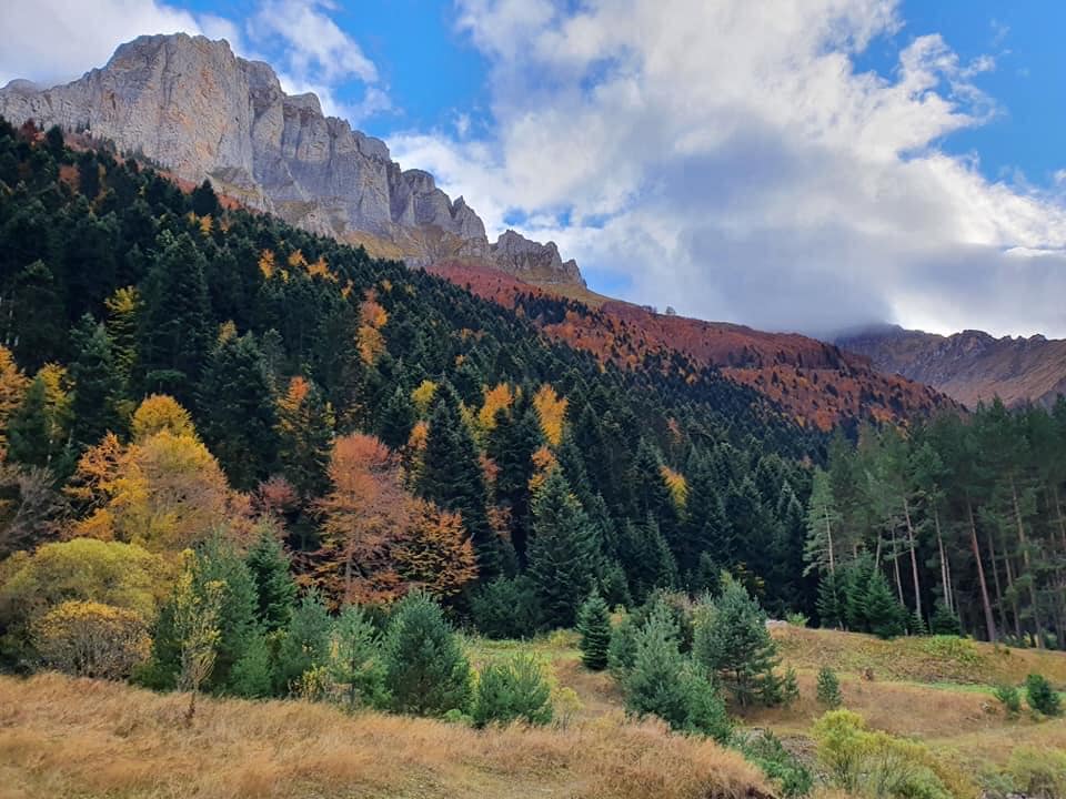Experience the Best Horse Riding Adventures in Macedonia