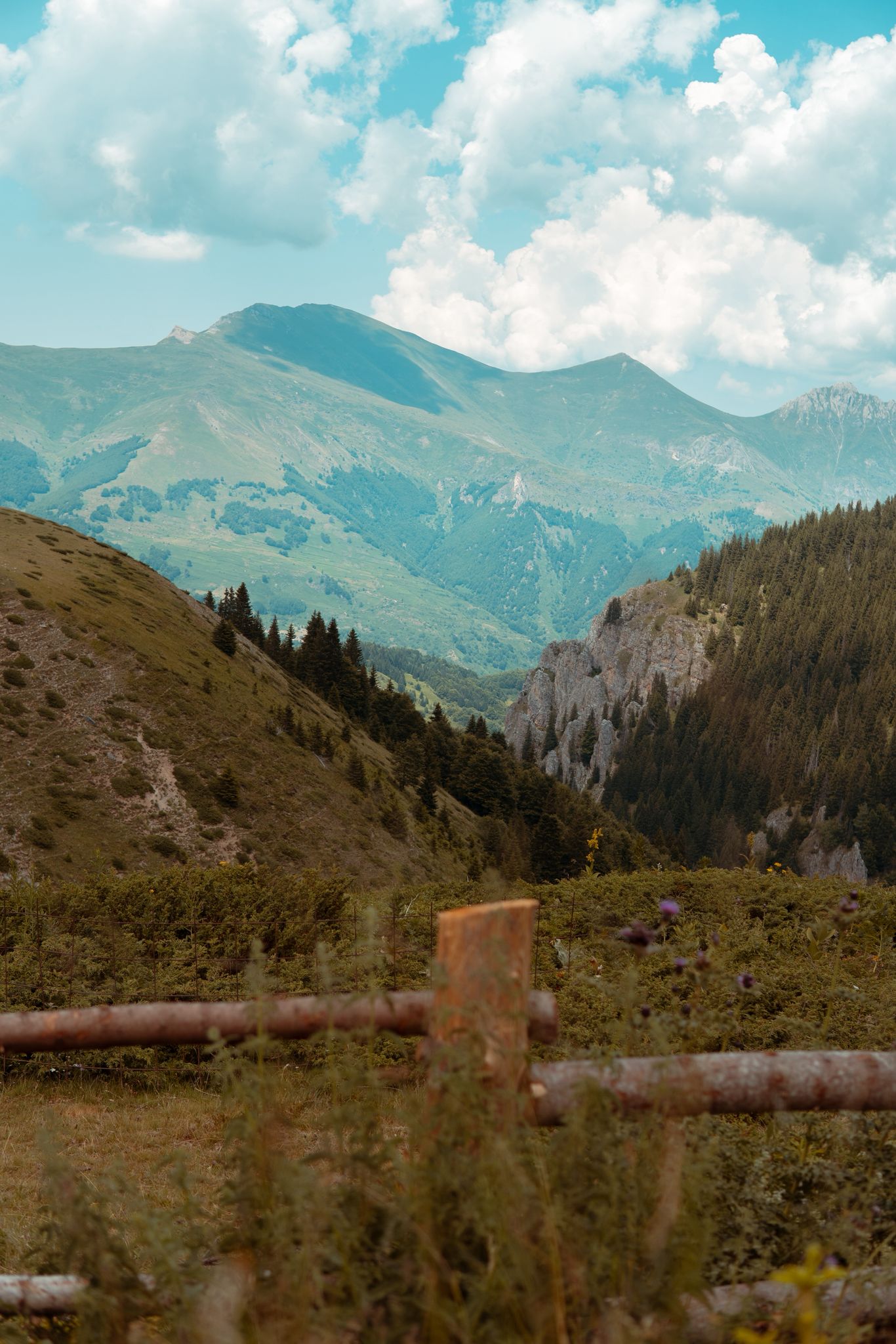 Experience the Best Horse Riding Adventures in Macedonia