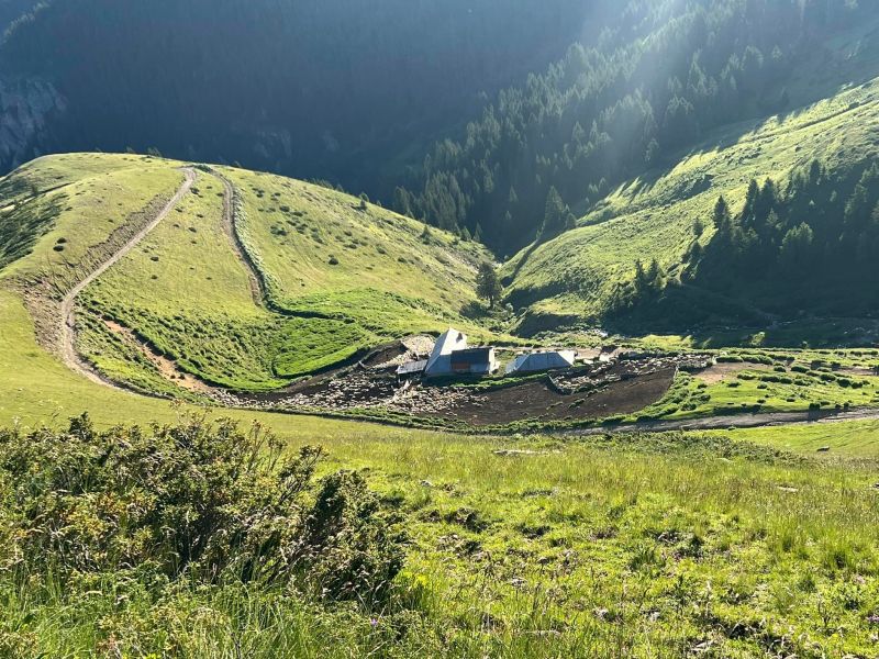 Experience the Best Horse Riding Adventures in Macedonia