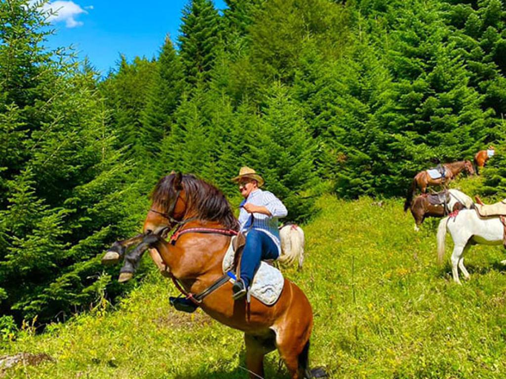1 May Horse Riding