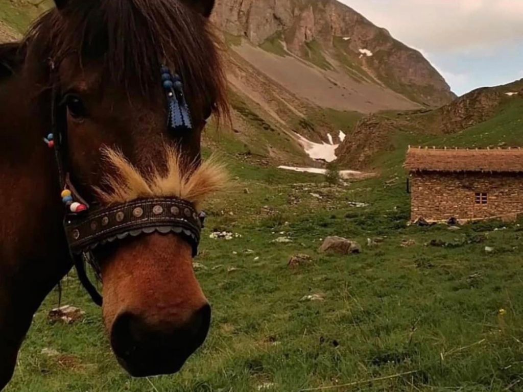 1 May Horse Riding