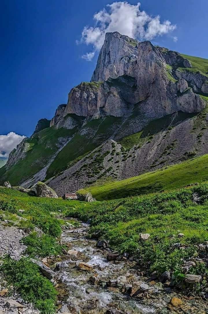Experience the Best Horse Riding Adventures in Macedonia